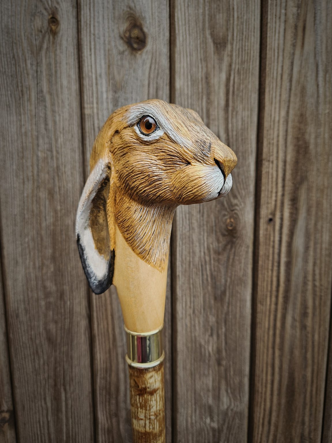 Mammals - Country Sticks