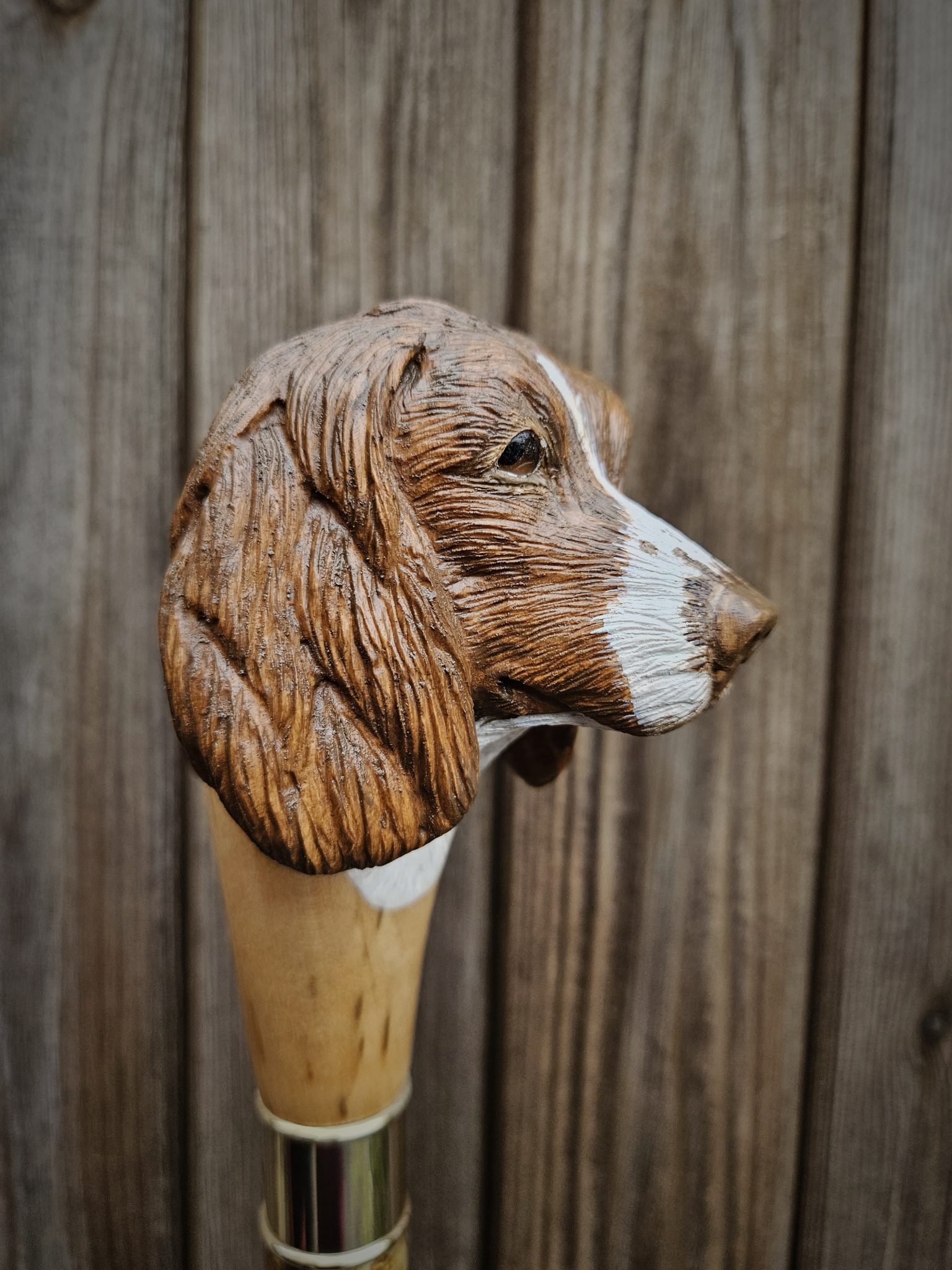 Dogs - Country Sticks