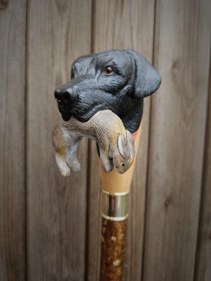 Dogs - Country Sticks