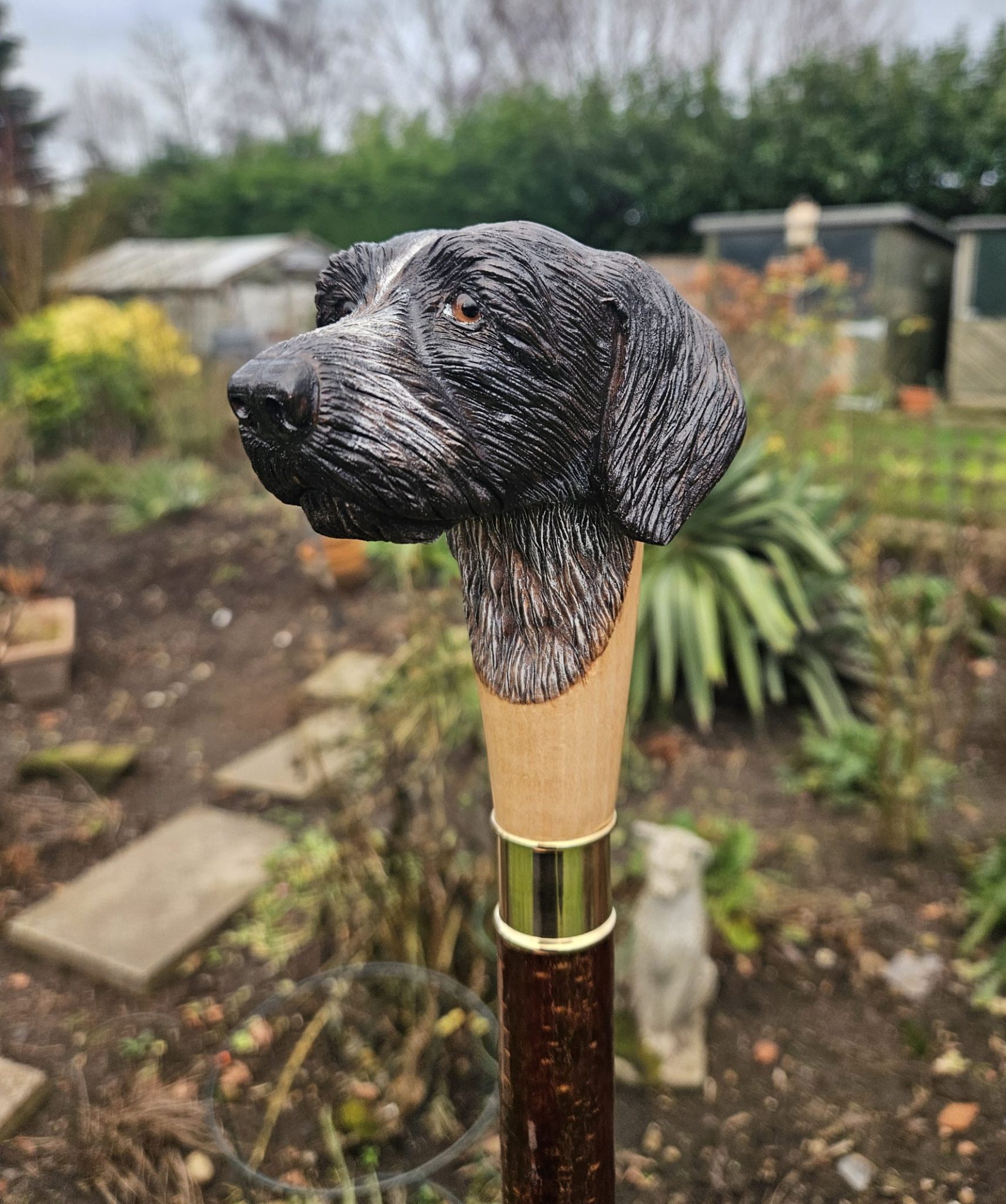 Dogs - Country Sticks