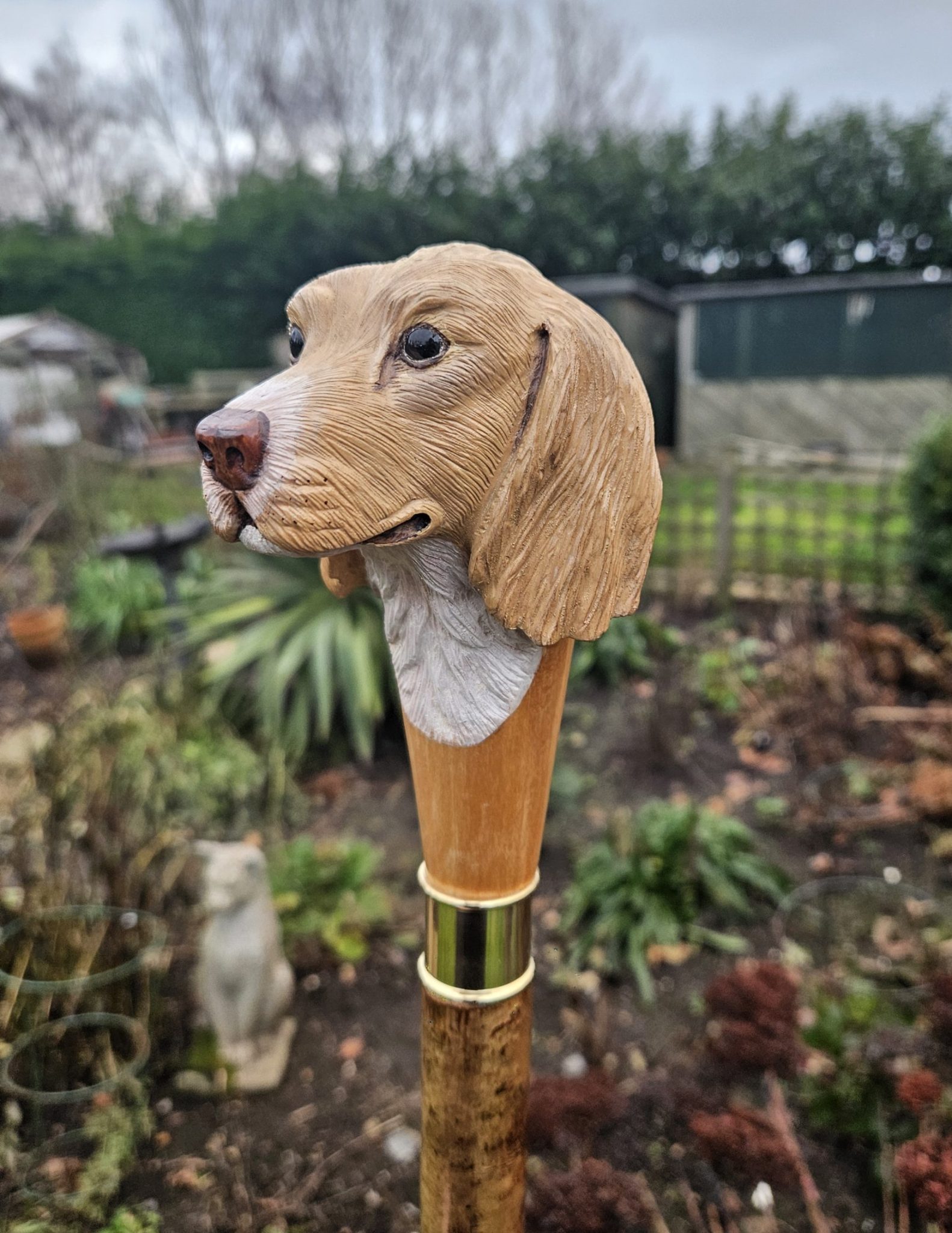 Dogs - Country Sticks